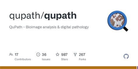 Releases Qupath Qupath GitHub
