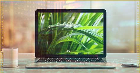 chia sẻ khóa học [new] spring boot 3 spring 6 and hibernate cho beginner