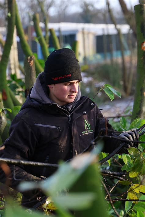 Tuinen Schellens Tuinaanleg And Onderhoud