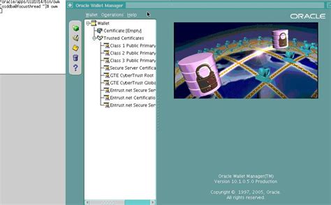oracle wallets ssl owm