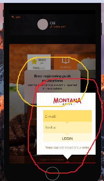 Xamarin Conflit With Systems Popup Of IOS And Rg Plugin Popup Stack Overflow