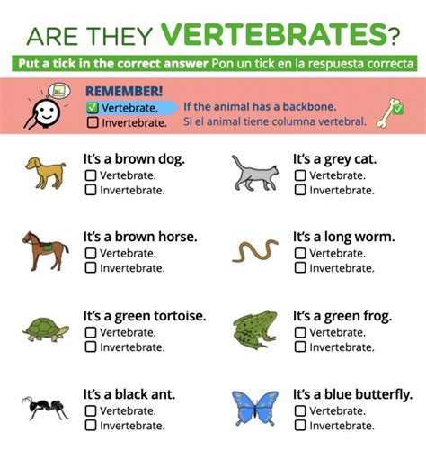 Vertebrates And Invertebrates Chart