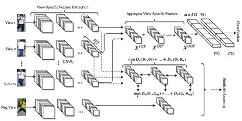 The Proposed Network Architecture A Multi View Cnn For Person Download Scientific Diagram