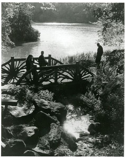 539143277650159355855653562o Christopher Brewster Flickr