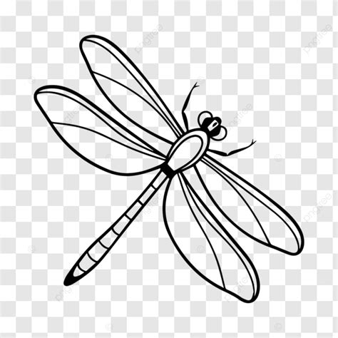 Clean Dragonfly Outline In Black Thin Lines With Symmetric Wings For
