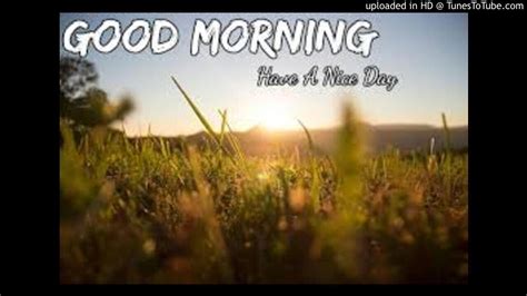 Biles Oromigna Mezmure Youtube