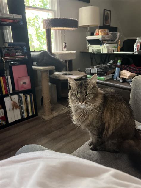 This Is My Mc Momma She Passed Away In January At 18yrs Her Health Was Going Downhill And She