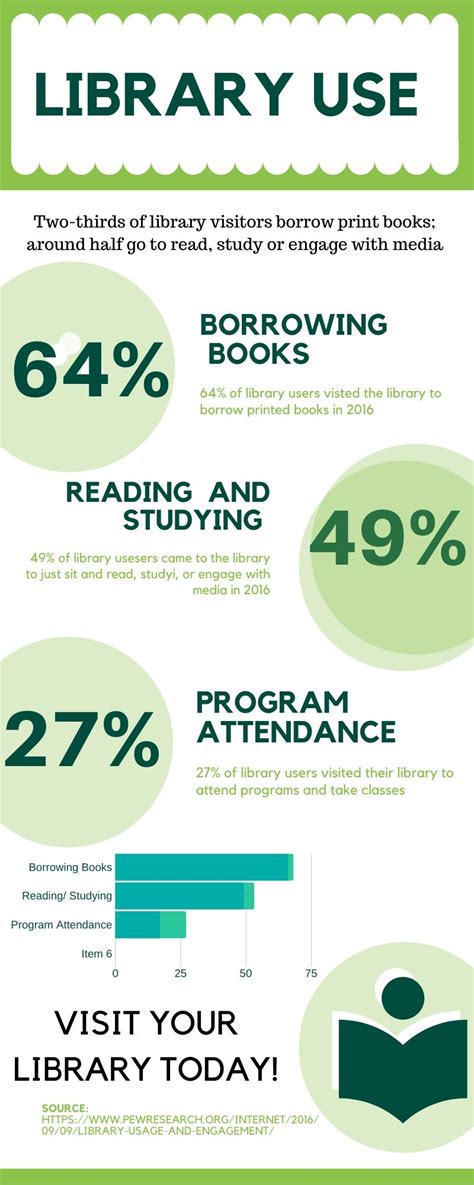 Canva Infographic Ally Schaefer