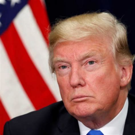 Emolument Clause Lawsuit 360 Magazine Green Design Pop News