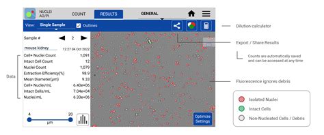 counting isolated nuclei