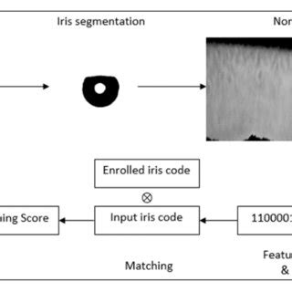 The Iris Recognition System Download Scientific Diagram