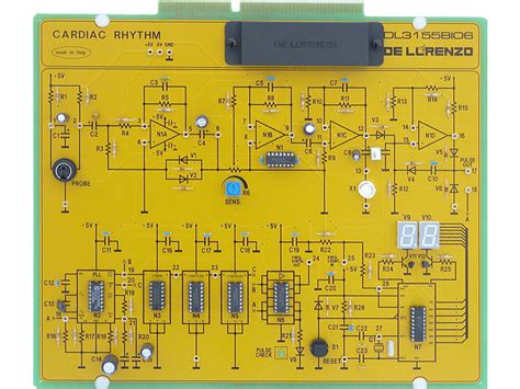 Pulse Rate Quality Systems Egypt