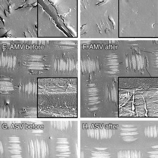 Plan View SEM Micrographs Of Membranes Before And After 100 Cycles In Download Scientific