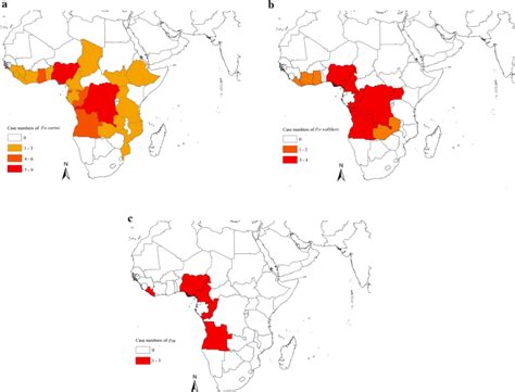 Plasmodium Ovale Morphology
