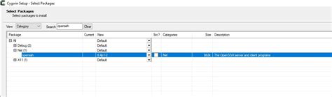 Comment Se Connecter En Ssh à Un Serveur Distant Depuis Windows