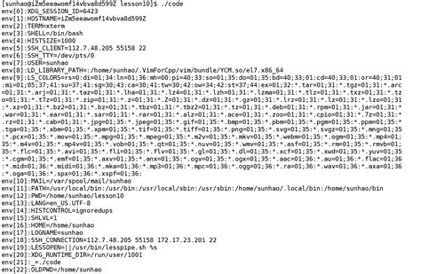 Linux 系统 命令行参数 环境变量 Csdn博客
