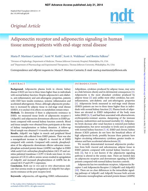 Pdf Adiponectin Receptor And Adiponectin Signaling In Human Tissue