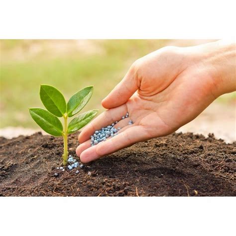 Brown Powder Soil Nutrients Packaging Type Hdpe Bag Packaging Size