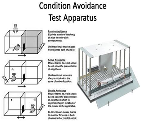 Milton Enterprises Condition Avoidance Test Apparatus For Laboratory Use At Rs 68500 In Nashik