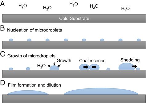 H To H O Mechanism