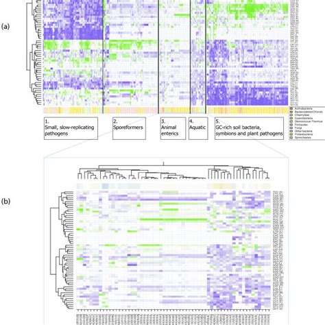 Two Dimensional Cluster Analysis Of Differential Codon Preferences For Download Scientific