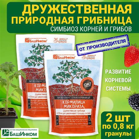 Биостимулятор БашИнком микориза 1л 800 г - купить по выгодным ценам в ...
