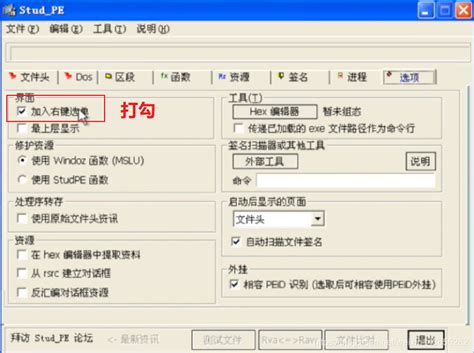 pe文件结构详解精华（从头看下去就能大概了解pe文件结构了） 如何从节区头判断pe文件大小 csdn博客