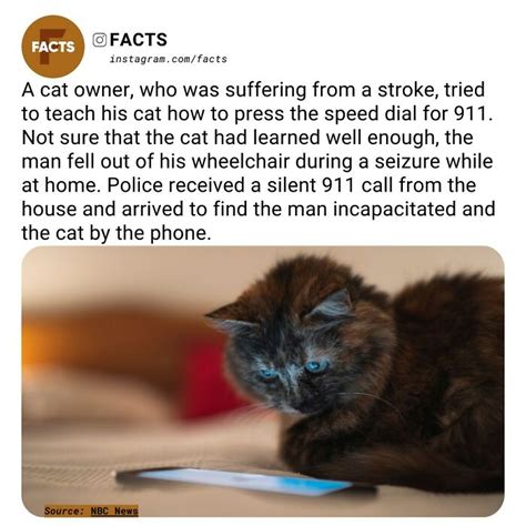 Enlighten Yourself” 50 Random Facts That Are Too Interesting To