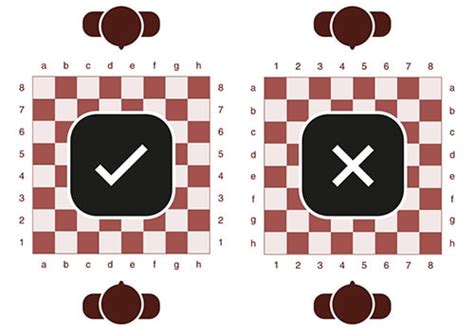 How to set up a Chessboard - A Quick & Simple Guide