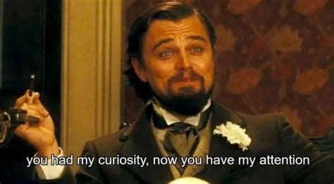 Django Meme Curiosity