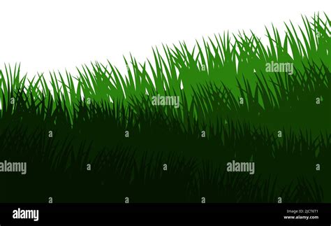 Grass Nature Rural Landscape Pasture Overgrown Overgrown Dense Lawn
