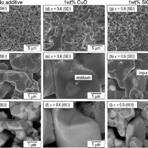 Microstructure And Morphology Observed By Scanning Electron Microscopy