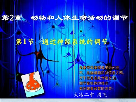 第二章 第1节 神经调节word文档在线阅读与下载无忧文档