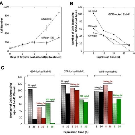 The Multiple Sequence Alignment Was Performed With DNAMAN Sequence Download Scientific Diagram