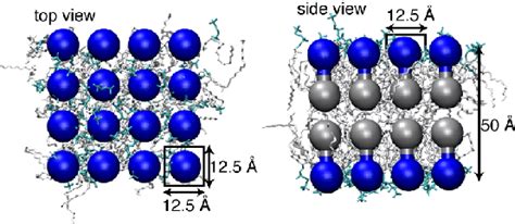 Building A Shape Based Coarse Grained Membrane