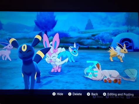 Decided To Become An Eevee Trainer All Those Days Spent On Breeding The Perfect 6 Seeing This