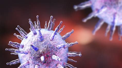 Multiple Sclerosis New Evidence For The Role Of Glandular Fever Virus