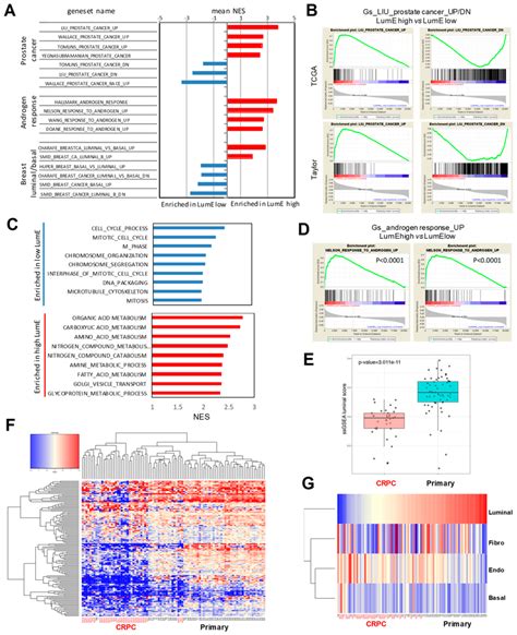 Luminal Metagene Score Is Associated With Androgen Receptor Signaling Download Scientific