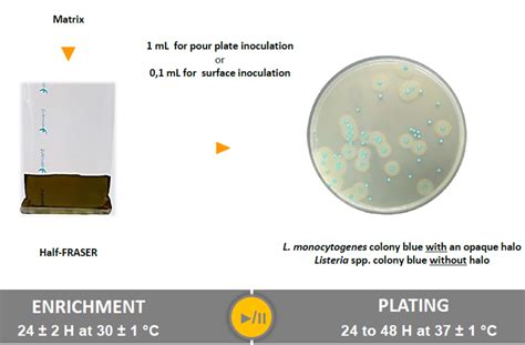 Compass Listeria Detection Of Listeria Spp And L Mono In Less Than 48 Hours Medical Supply