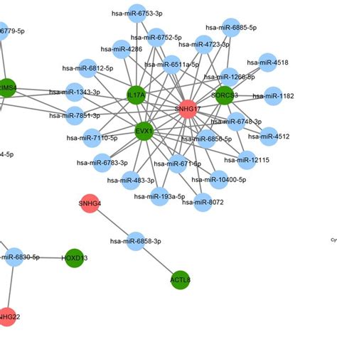 Top Snornahost Gene Couples Undergoing Cna In The Ten Different Tumor Download Scientific