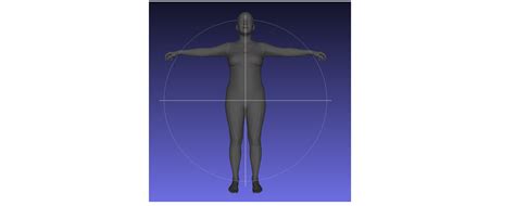Smpl模型介绍及使用 Evernorif