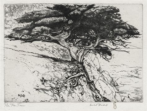 The Fan Tree By Ernest Haskell Annex Galleries Fine Prints