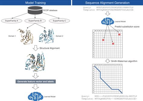 Figure 1 From Sequence Alignment Using Machine Learning For Accurate