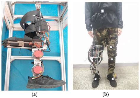Novel Feature Extraction And Locomotion Mode Classification Using Intelligent Lower Limb Prosthesis