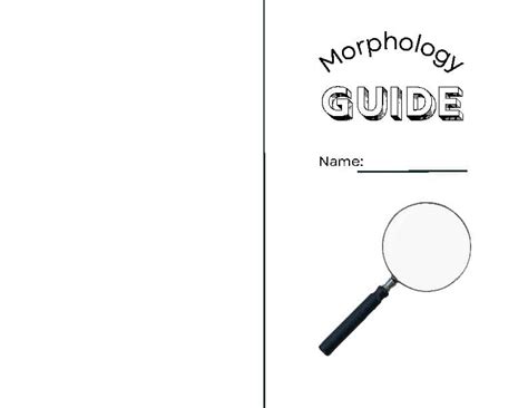 3rd Grade Morphology Guide By The Literacy Lounge Tpt
