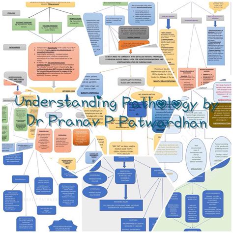 Jerad Gardner Md 65 Yo Man With Rapidly Growing Ulcerated Black Nodule On Back Wsi Digital