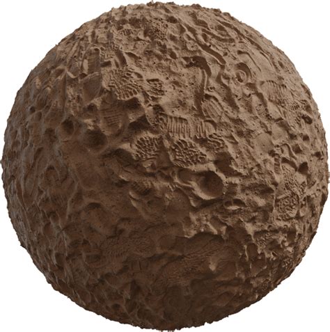 Park Sand Texture • Poly Haven