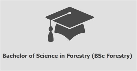 Bsc Forestry Overview Specializations Career Options