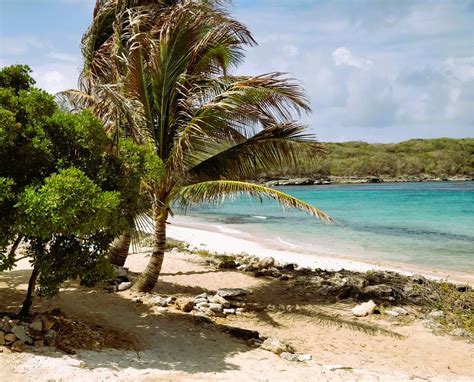 Eclipse 1998 Caribbean Explorer Trekker