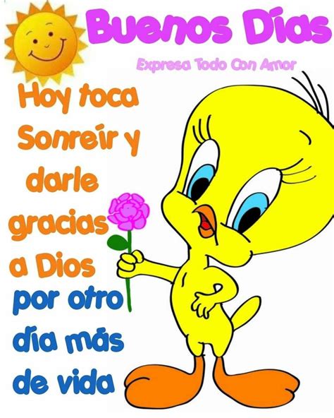 50 Imágenes De Piolín Con Mensajes De Buenos Días Y Frases Imágenes